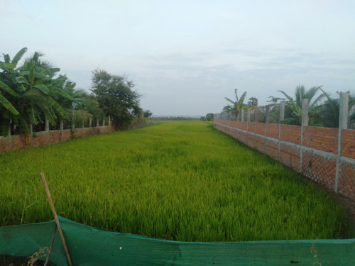 khmer24.com, Buy and Sell Everything In Cambodia