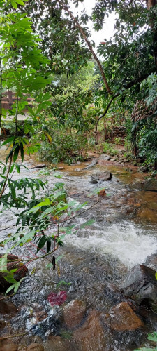 Land For Sale Price 196 01 In Tuol Kokir Mondol Seima Koh Kong land-for-sale-price-196-01-in-tuol-kokir-mondol-seima-koh-kong
