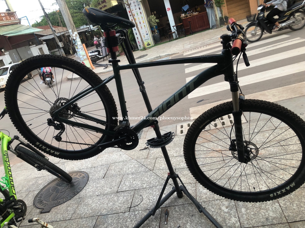 Giant Talon 2 Price $350.00 in Siem Reap, Cambodia - Phoeuy Sophea ...