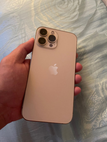 iPhone 13 Pro Max ZP/A 256GB Gold (E-SIM + SIM ) Personal Used Price ...