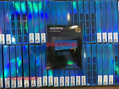 Adata SSD Su800 256Gb Price $42.00 in Tuek L'ak Pir, Cambodia - High ...