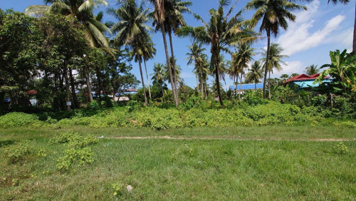 ដីសម្រាប់លក់ក្រុងដូនកែវ តម្លៃចរចារ 59700$ price $59700.00 in Roka Knong ...