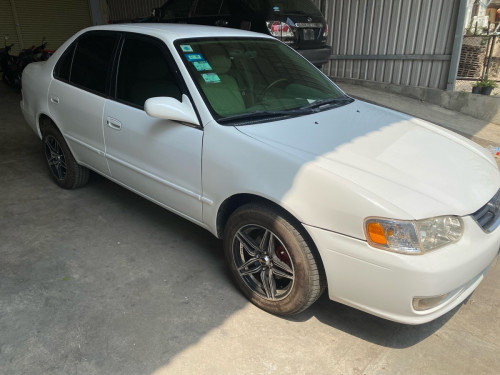 New and Used Toyota Corolla Cars For Sale in Cambodia - Khmer24.com