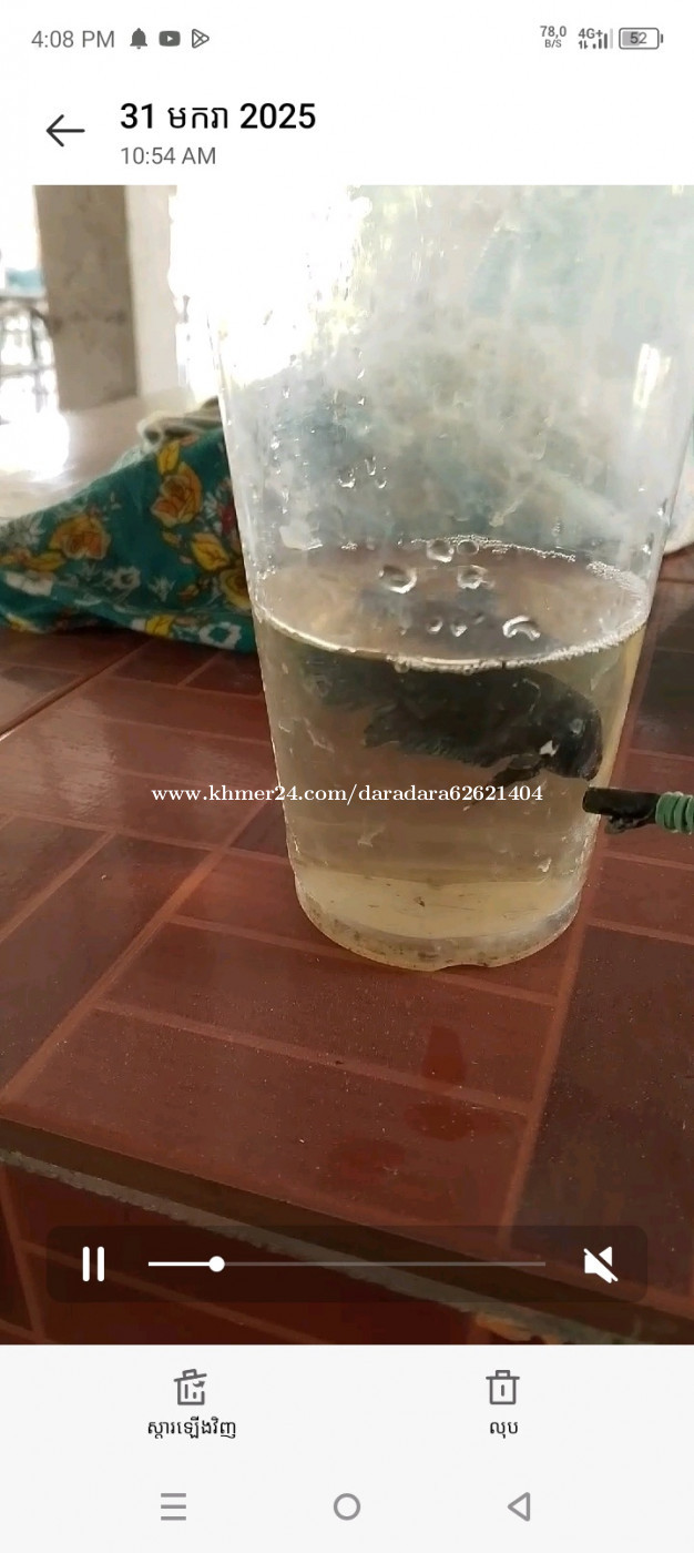 សៀមVIP price $1 in Prey Sa, Dangkao, Phnom Penh, Cambodia - Dara Dara | Khmer24.com