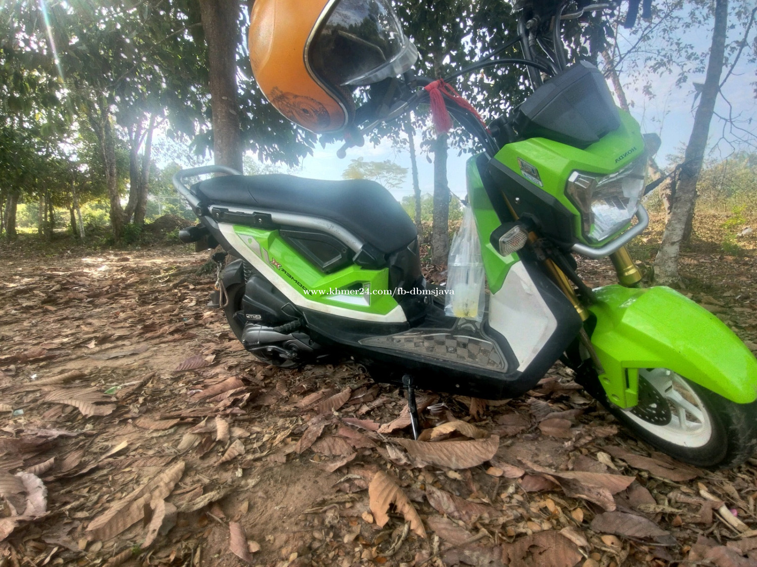 Honda zoomer-x 017 price $550.00 in Svay Dangkum, Krong Siem Reab, Siem Reap, Cambodia - Chhay ...