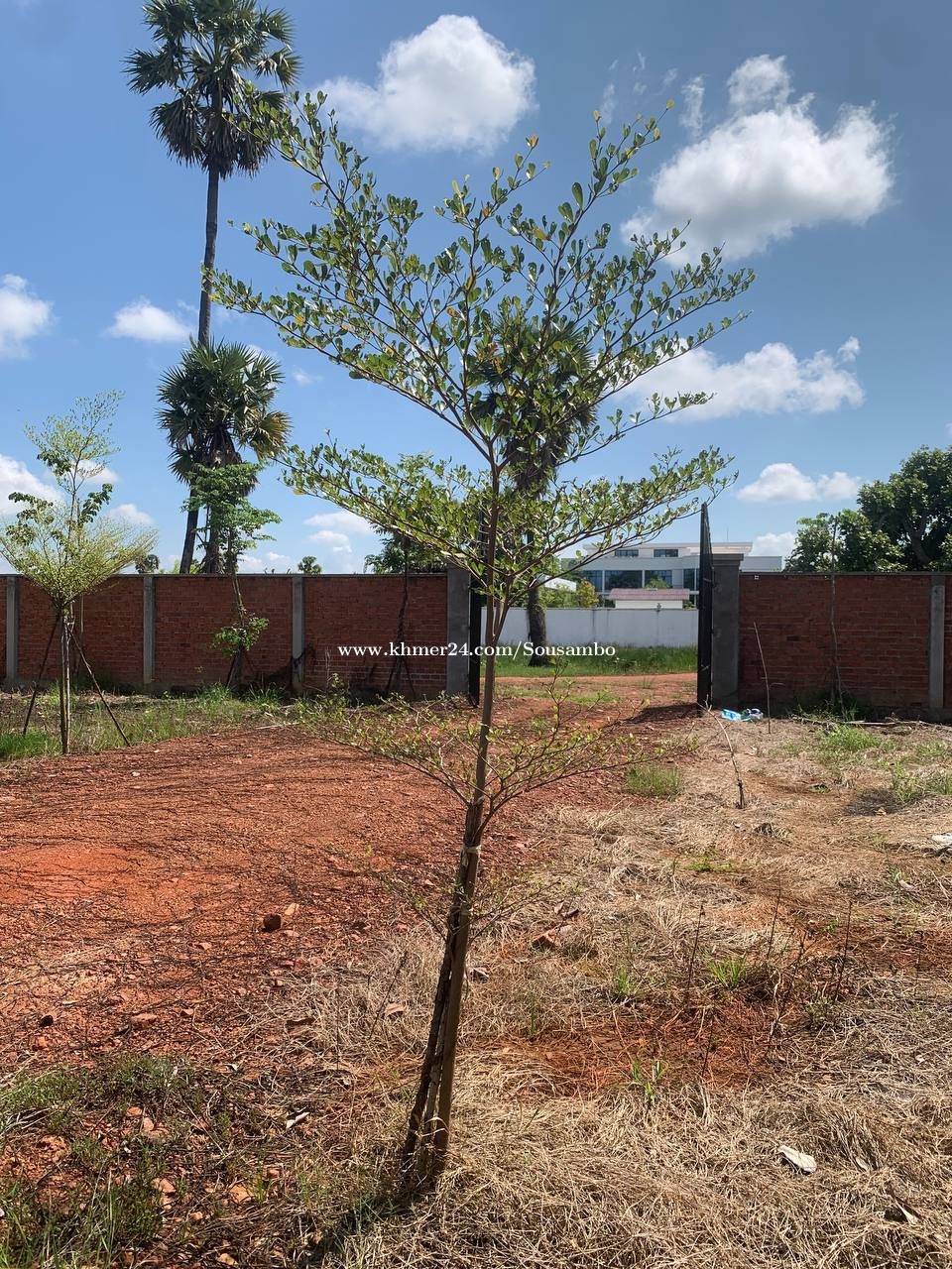 Land for rent price $250.00 in Kandaek, Prasat Bakong, Siem Reap, Cambodia - Sambo | Khmer24.com