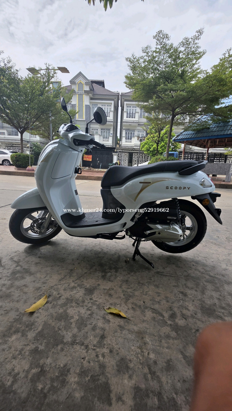 Scoopy 2025 price $2780.00 in Dangkao, Dangkao, Phnom Penh, Cambodia - Ly Porseng | Khmer24.com