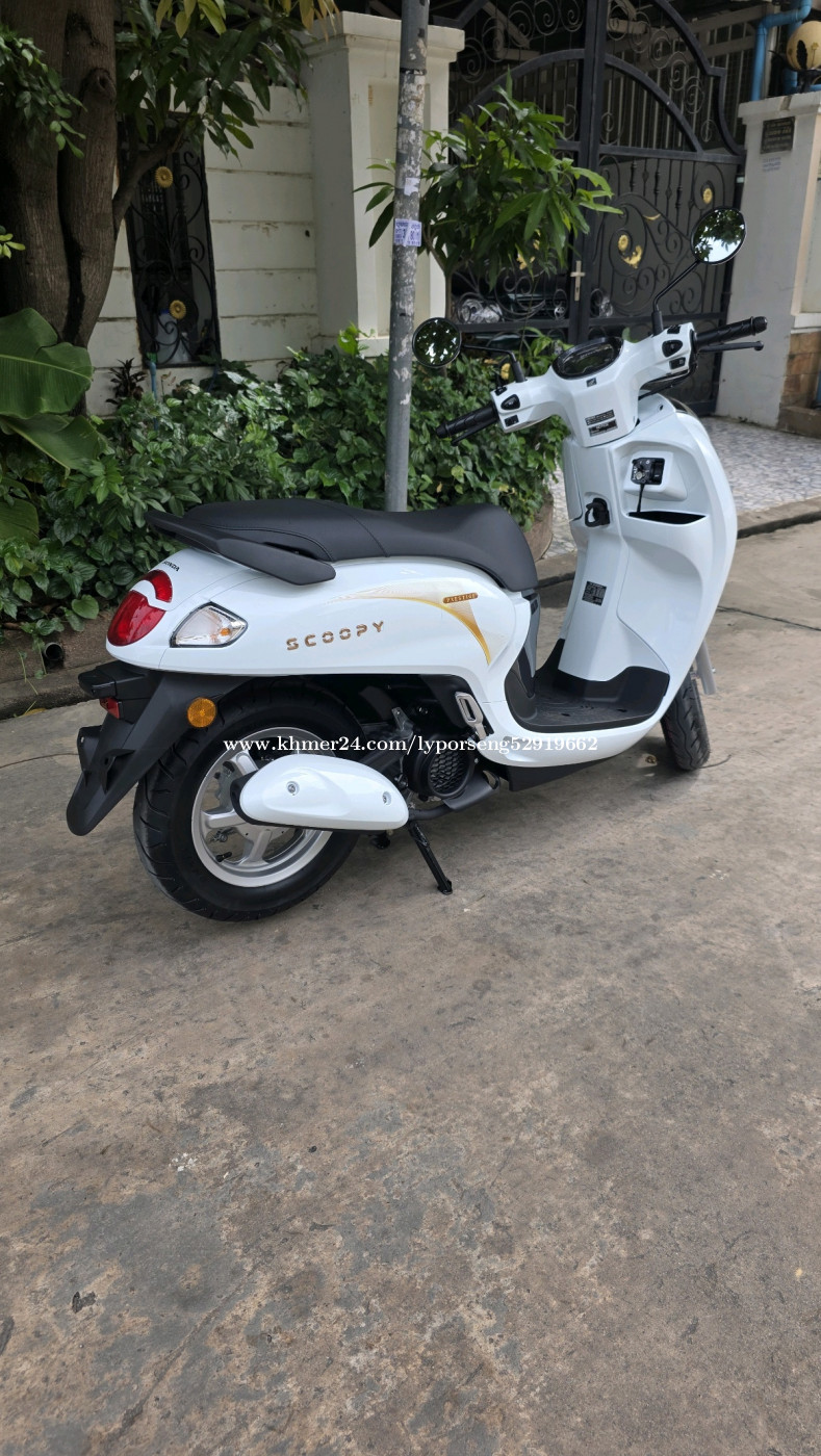 Scoopy 2025 price $2780.00 in Dangkao, Dangkao, Phnom Penh, Cambodia - Ly Porseng | Khmer24.com