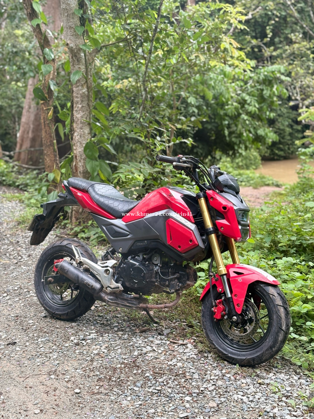 Honda Msx 2016 price $650.00 in Siem Reab, Krong Siem Reab, Siem Reap ...