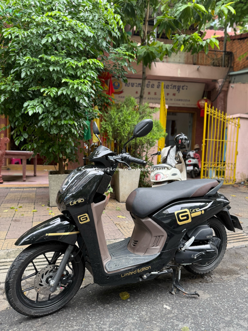 GTR Ginio price $1280.00 in Veal Vong, Prampir Meakkakra, Phnom Penh ...