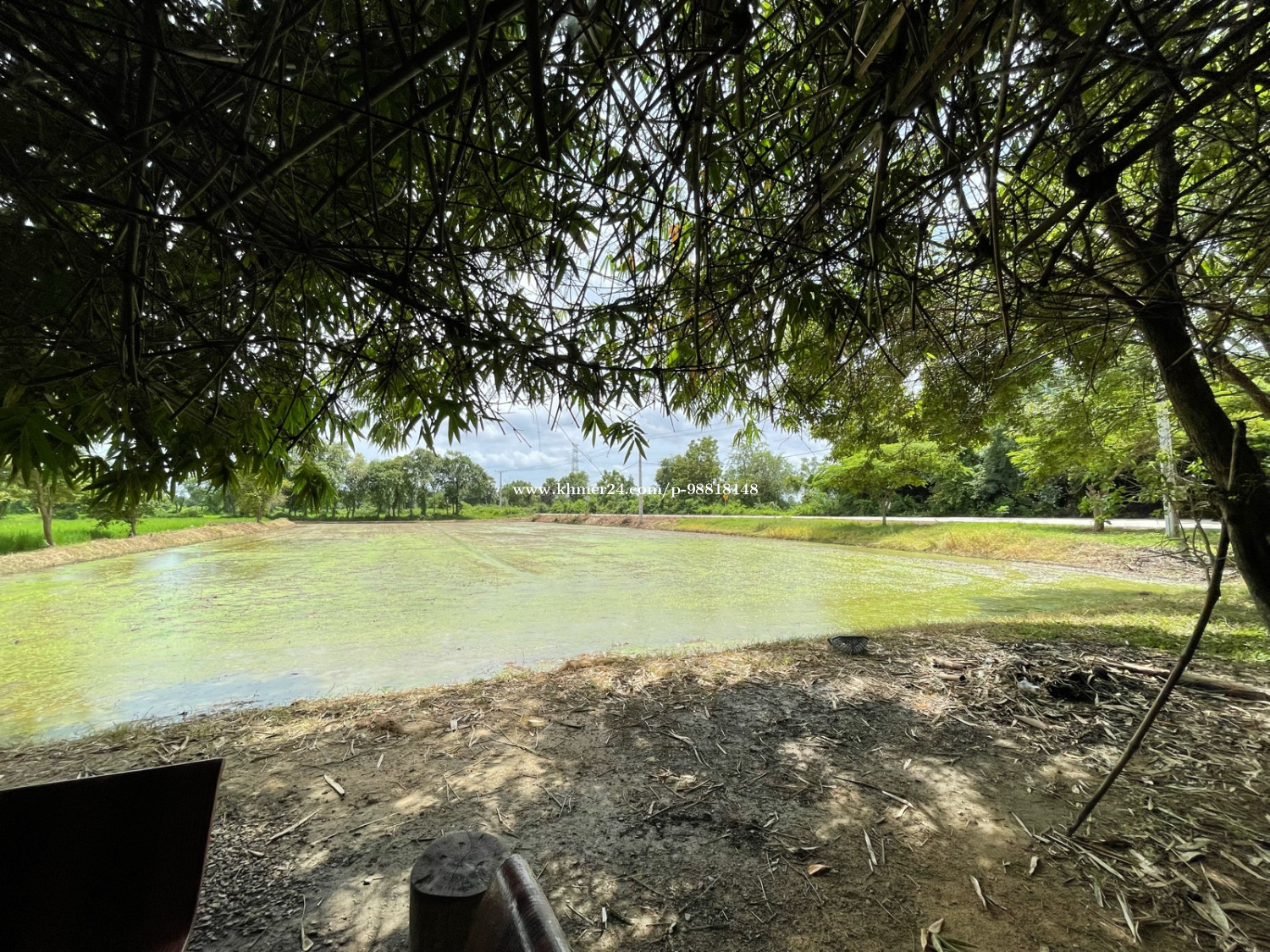 ដីក្នុងក្រុងបាត់ដំបងជាប់ផ្លូវរដ្ឋកៅស៊ូក្បាល80និងបណ្តោយ40 price $45.00 in Voat Kor, Krong ...