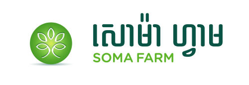 Administration in Cambodia - www.khmer24.com