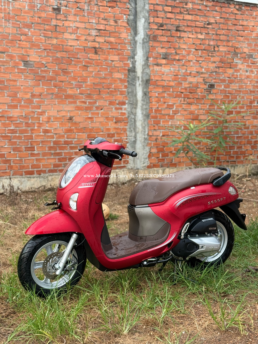 Honda Scoopy 025 New100% price $1480.00 in Memot, Memot, Tboung Khmum ...