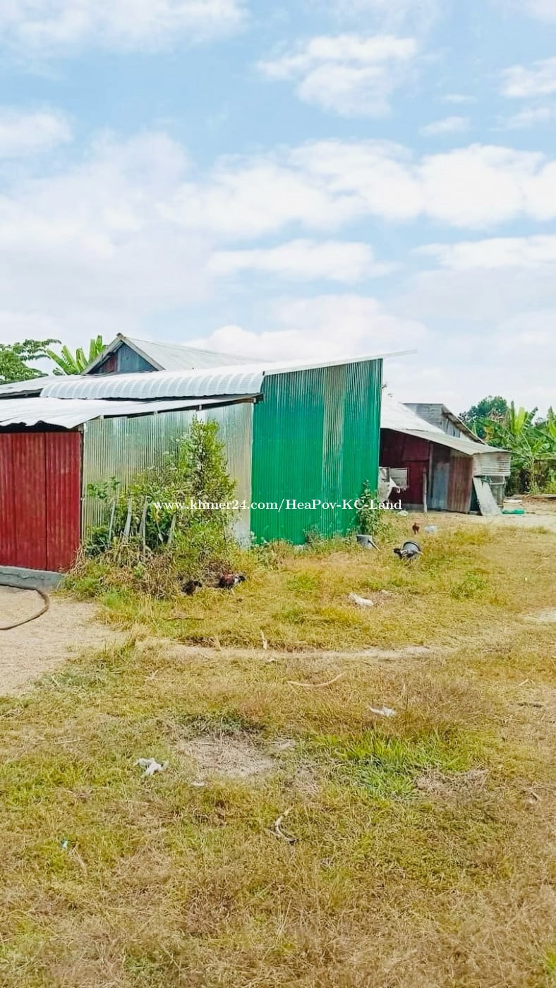 ដីចំការលក់ជាប់ផ្លូវនិងស្ទឹង50ម price $14500.00 in Krang Skear, Tuek Phos, Kampong Chhnang ...
