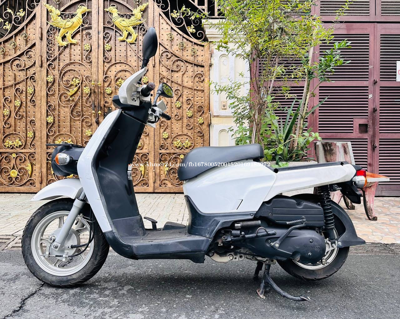 HONDA BENLY(Price990$,110cc)From Japan New tax paper ថ្មីក្រដាសពន្ធ ...