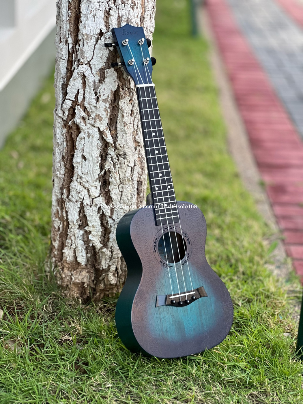 Ukulele Lavis price $39.00 in Tuek L'ak Pir, Tuol Kouk, Phnom Penh, Cambodia - Rith Sõlõ ...