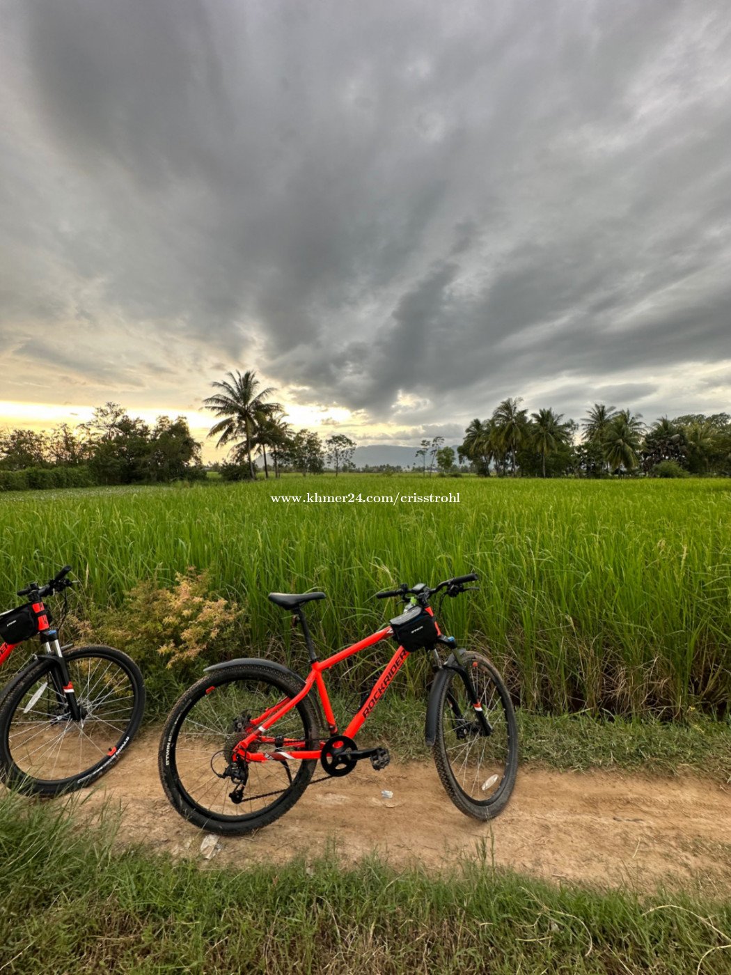 10 bike Rockrider 120 for sale price $250.00 in Trapeang Reang, Chum Kiri, Kampot, Cambodia ...
