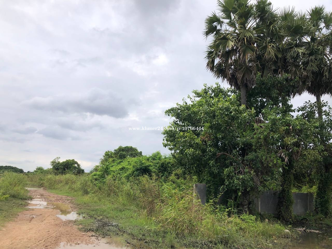 Land for Sale Behind Borey Peng Huoth Beoung Snor price $160.00 in ...