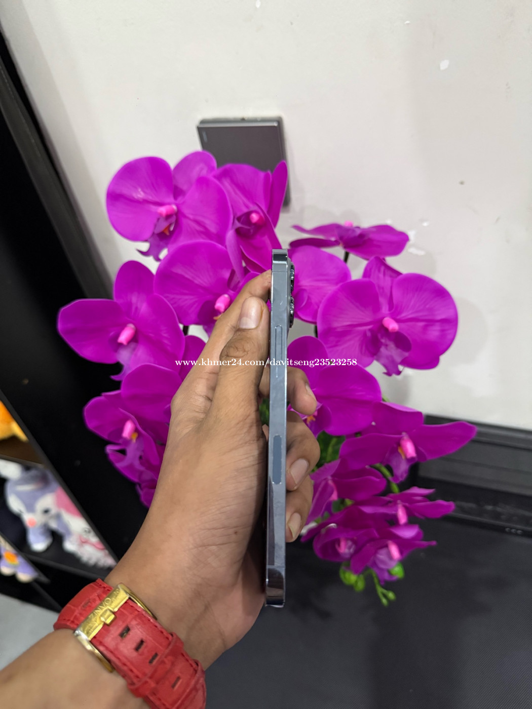 iPhone 13 Pro Max សាណុំសុីន price $425.00 in Stueng Mean chey 1, Mean ...