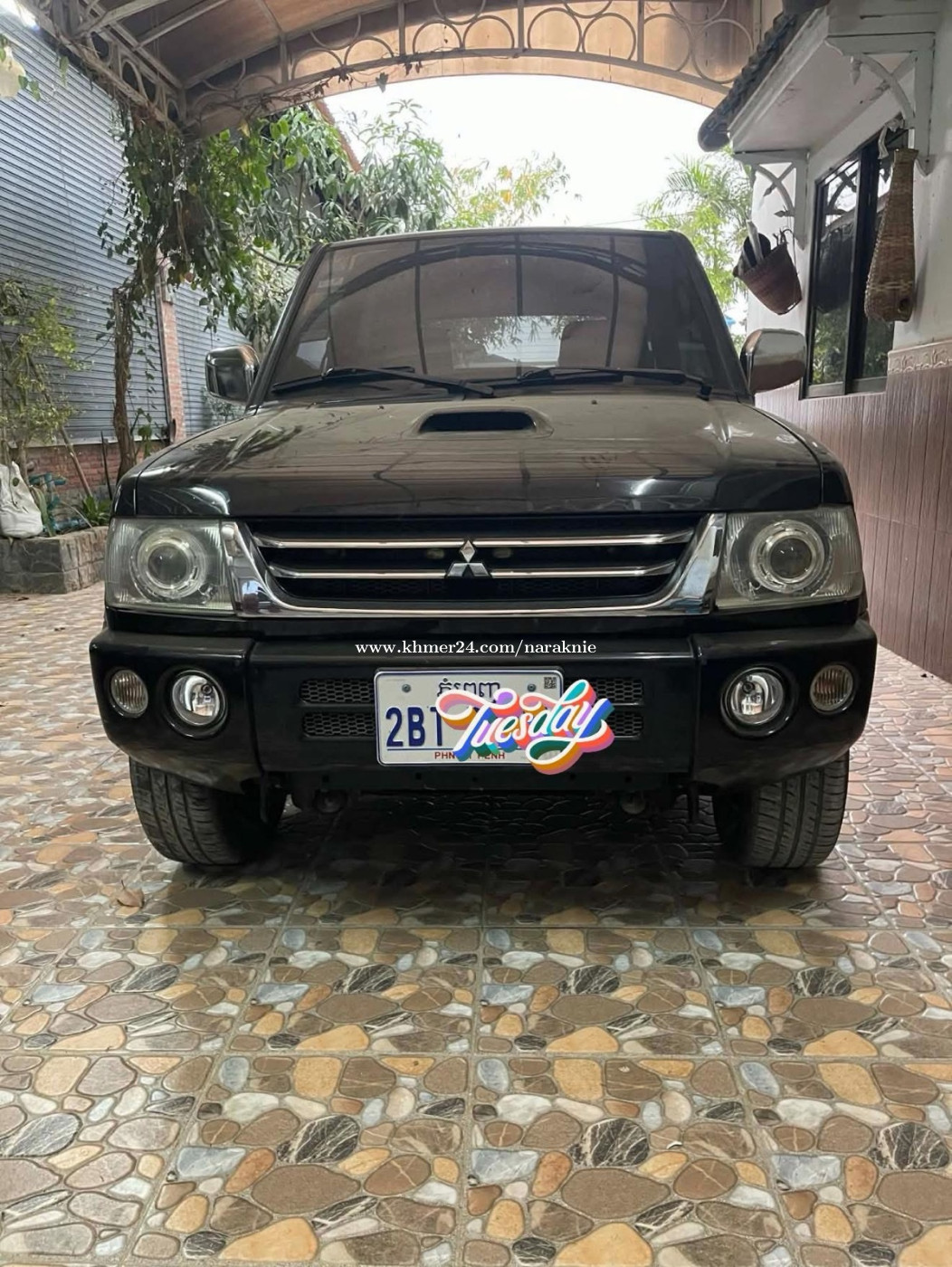 លក់កូនជ្រូកប៉ាចេរូឆ្នាំ2005 price $6500.00 in Damnak Ampil, Angk Snuol ...