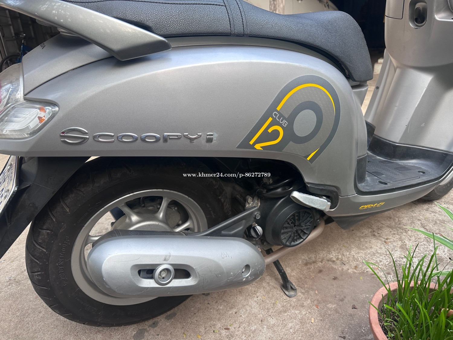Scoopy Club 12 019 ...