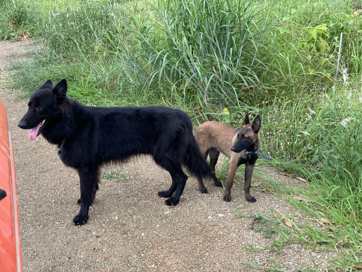 Chan Narith - Khmer24