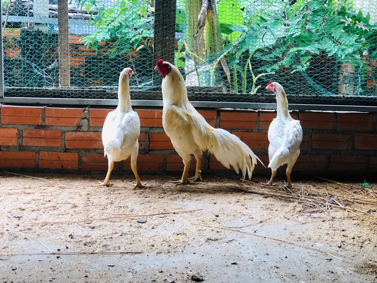 sim phanit - Khmer24