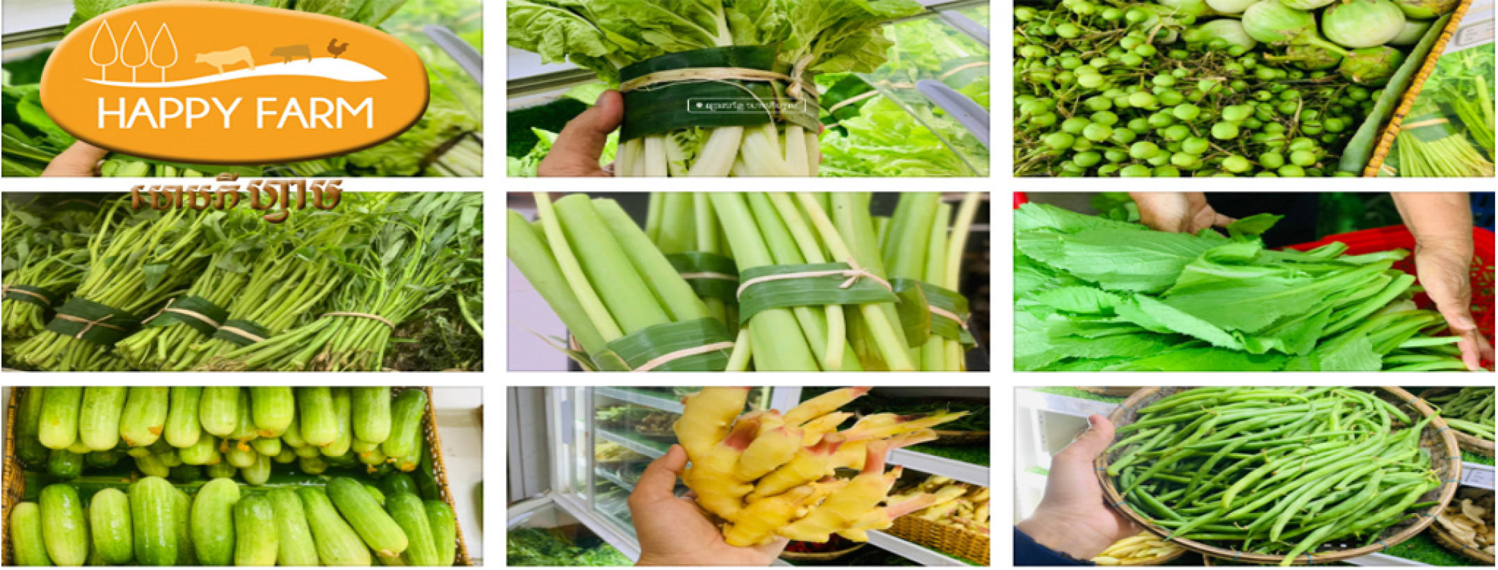 HAPPY FARM - Khmer24