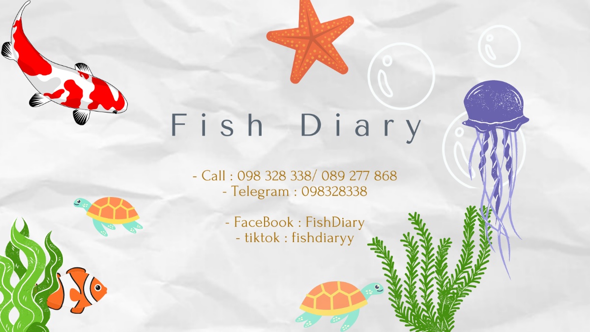 Fish Diary - Khmer24