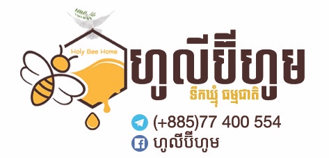 ហូលីប៊ីហូម Holy Bee Home - Khmer24