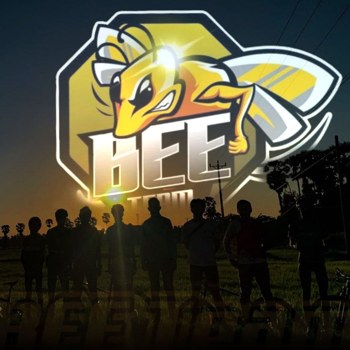 BEE Team កង់ឃ្មុំ - Khmer24