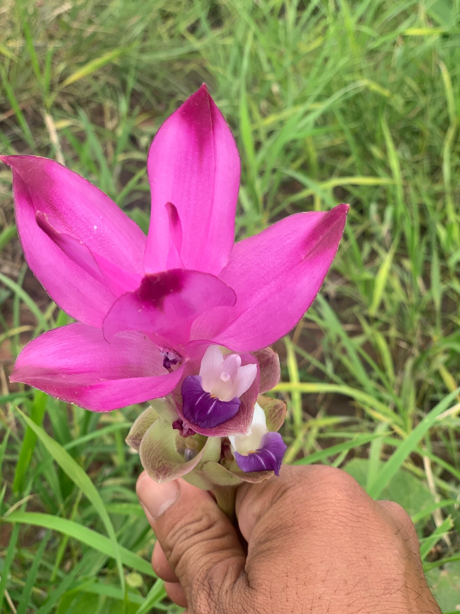 Chan Narith - Khmer24